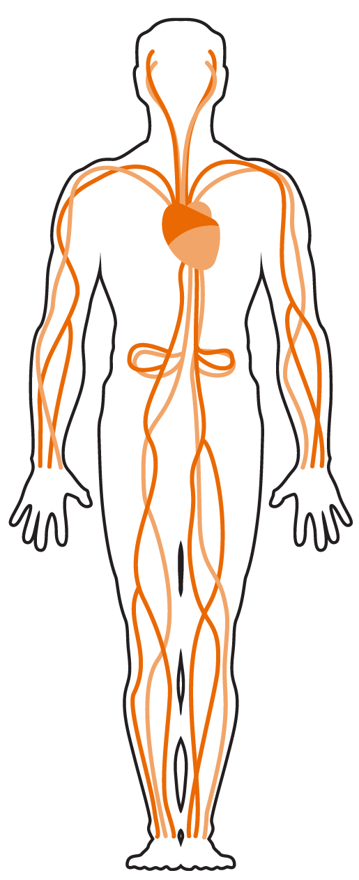 Chemical Weapons: A Deadly History - Radio Free Europe / Radio Liberty