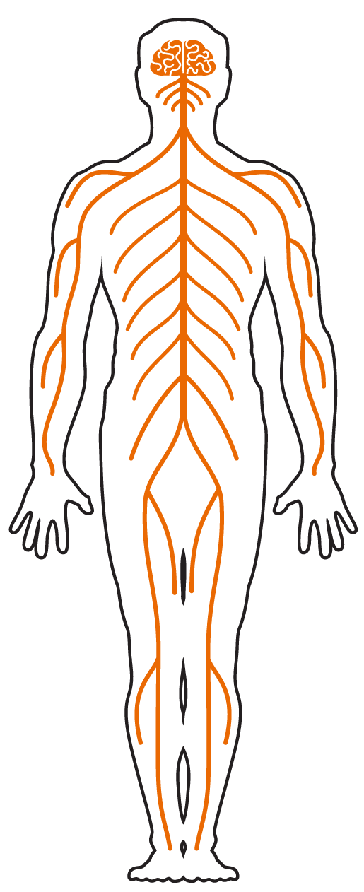 Chemical Weapons: A Deadly History - Radio Free Europe / Radio Liberty